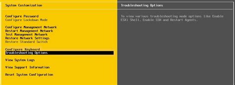 Vmware Esxi Installation And Basic Setup Ri Xu Online