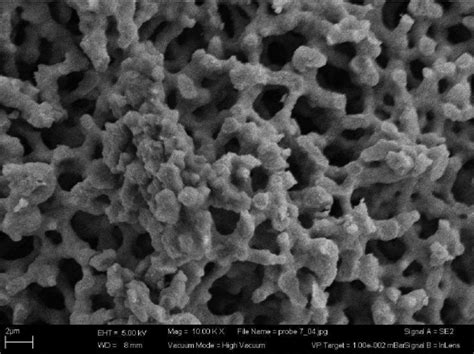 sem picture of column sample no 7 download scientific diagram