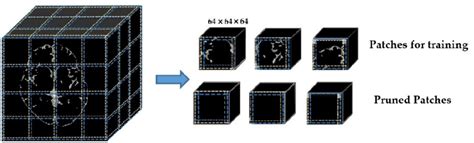 Dividing Into Overlapped Patches Download Scientific Diagram