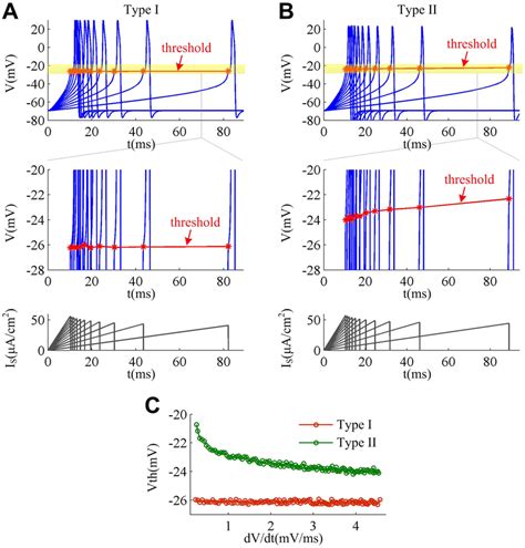 Spike Threshold Dynamics In Two Cell Types A Set Of Sample Spikes From