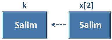 PYTHON PACKING UNPACKING TUPLE