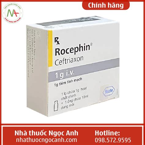 Dilution Rocephin 1g At Wilma Scanlon Blog