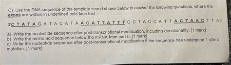 Solved C Use The DNA Sequence Of The Template Strand Shown Chegg