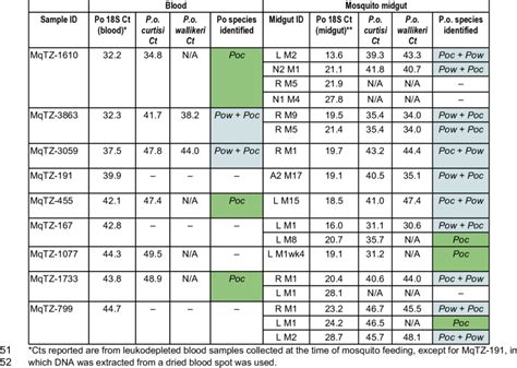 Real Time Qpcr Detection Of P Ovale Species Within P Ovale Infected Download Scientific