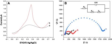 A Dpv Signal Before And After Hybridization With Target Dna B Eis