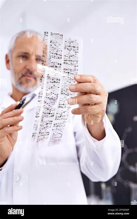 Dna Profile Hi Res Stock Photography And Images Alamy