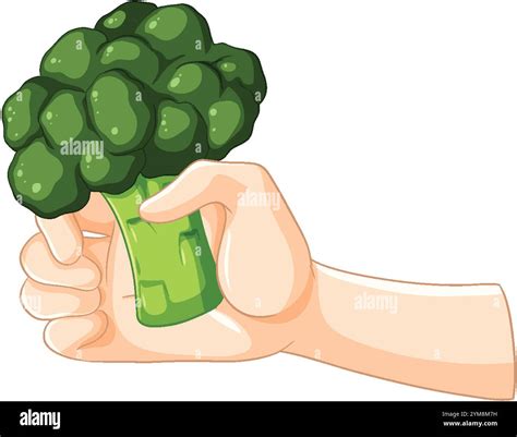Illustration Of A Hand Gripping Green Broccoli Stock Vector Image And Art