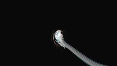 Gigue By Arcangelo Corelli Ukulele Klaus Breuer Youtube