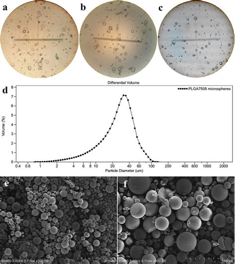 Particle Size And Morphology Of Dp Loaded Microspheres A C Are