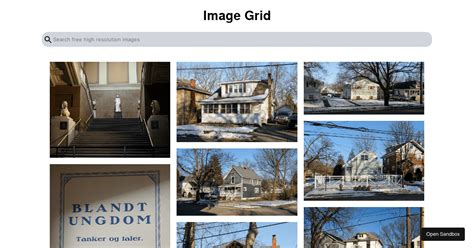 Search Images Codesandbox