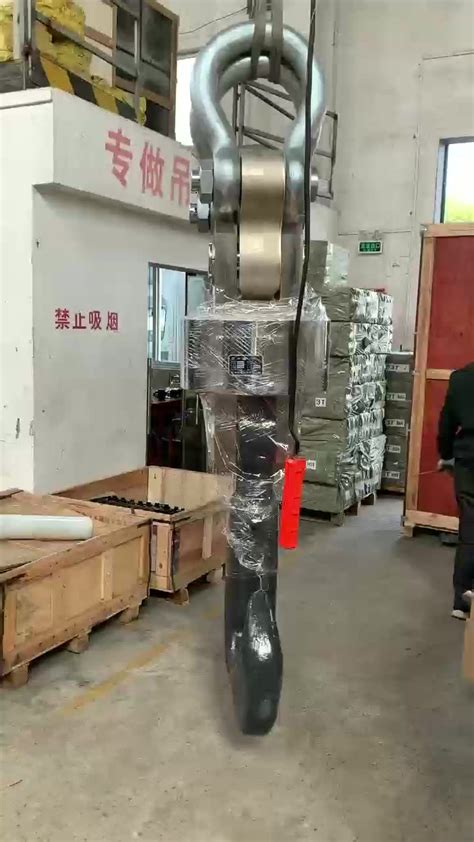 Dynamometer Digital Weighing Scale Crane 20 Ton Buy Digital Weighing Scale Crane Dynamometer