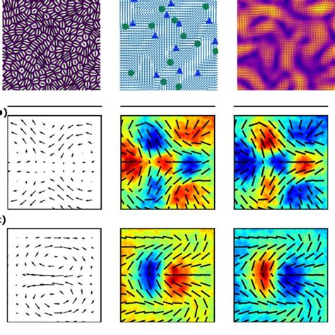 Emergent Features In A Phase Field Model Of Cell Monolayer A Download Scientific Diagram