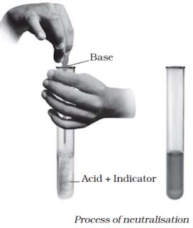 NCERT Revision Notes For Chapter 5 Acids Bases And Salts Class 7