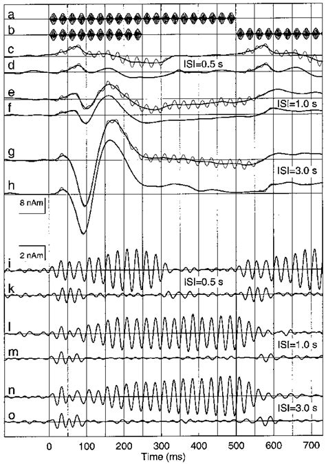 Example Of A Single Subjects Transient Response Waveforms And Ssr To
