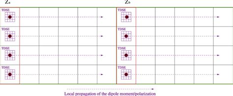 spatial evolution of polarization download scientific diagram