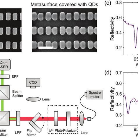Measured Reflection Response Of The Fabricated Planar Chiral Download Scientific Diagram