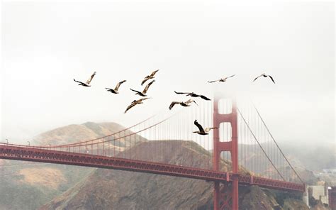 Oracle Migrate Pdb To Another Database