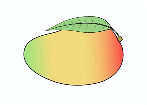 How To Draw A Mango Step By Step EasyLineDrawing