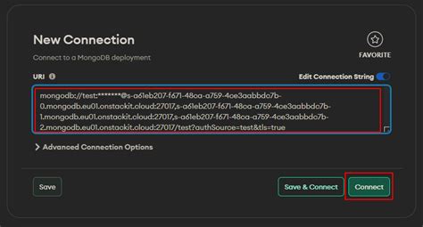 Connect To A Service Instance In Mongodb Flex