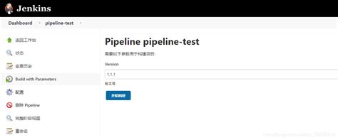 jenkins 流水线语法 06 options 运行时选项和 parameters参数化构建 jenkins的parameters csdn博客