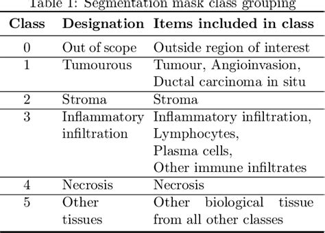 Enhancing Transformer Based Segmentation For Breast Cancer Diagnosis
