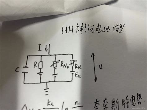 if以及lif神经分析 lif神经元电路 csdn博客