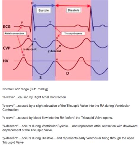 What Do The Waveforms Of A Cvp Trace Represent Icu Nursing Nursing