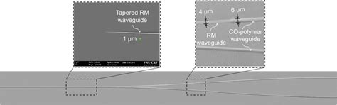 Microphotograph Of The Polarization Splitting Y Branch Waveguide And Download Scientific