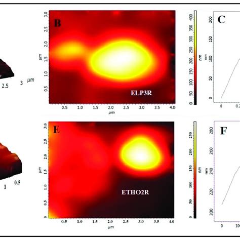 Atomic Force Microscopy For Morphology And Topographical Analysis A Download Scientific