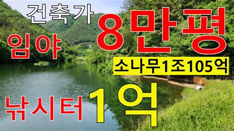 임야 8만8천평 1억 낚시터가능 건축가 자연인 전원생활 숲야영장텐트고기집6차산업 관광농원 숲카페 숲경영약용재배 산분장 임업직불금 땅과함께새희망을경매임야 공매임야 나도