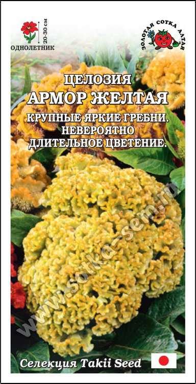 Золотая сотка алтая
