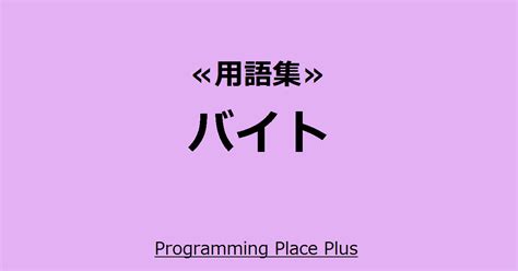 バイト Programming Place Plus 用語集