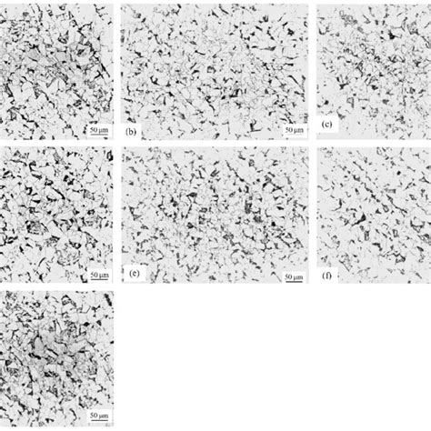 Evolution Of Austenite Microstructure During Hot Rolling Simulation Download Scientific