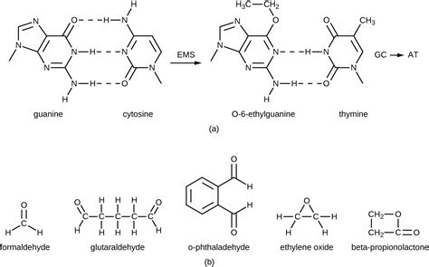 133 Using Chemicals To Control Microorganisms Microbiology Openstax