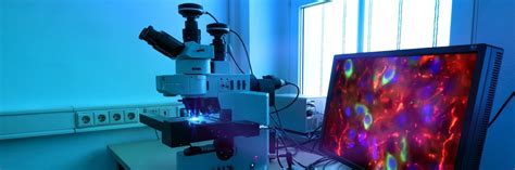 Enhancing Multiplexing In Fluorescence Microscopy With Nanoplex