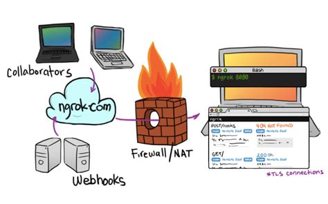 Công Khai Localhost Lên Internet Bằng Ngrok