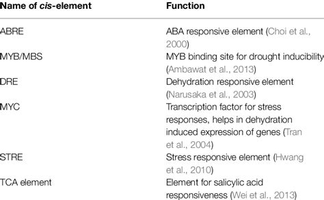 List Of Cis Regulatory Elements And Their Functions Download