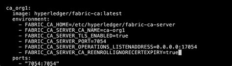Renew Enrollment And Tls Certificate In Hyperledger Fabric 21 By