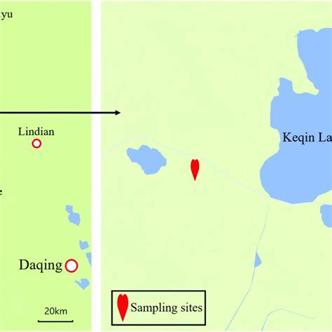A Relative Abundance Bar Plot Of The Relative Abundance Of The