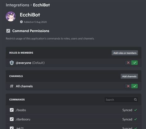 server admin setup guide ecchibot website discord bot