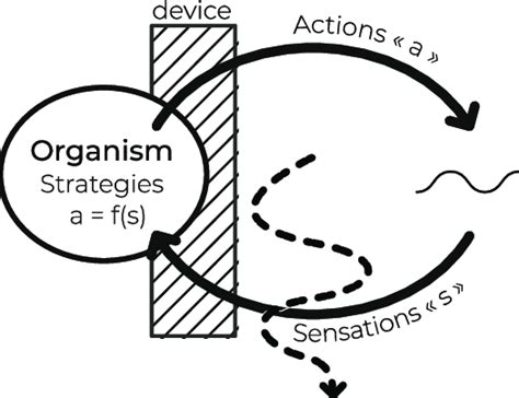 the augmented sensorimotor relation of perception spans the organism