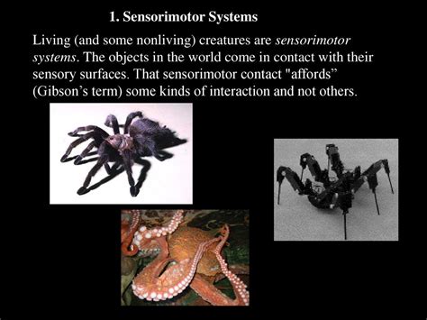 handbook of categorization in cognitive science ppt download