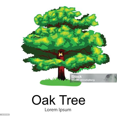 녹색 잔디 벡터 일러스트 레이 션에 흰색 배경 아이콘 분기와 야외 공원에 만화 고립 된 오크 여름 나무 Leafs 0명에 대한 스톡 벡터 아트 및 기타 이미지 Istock