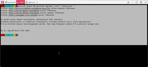 Ssh Update Screen Does Not Work · Issue 499 · 1remote1remote · Github