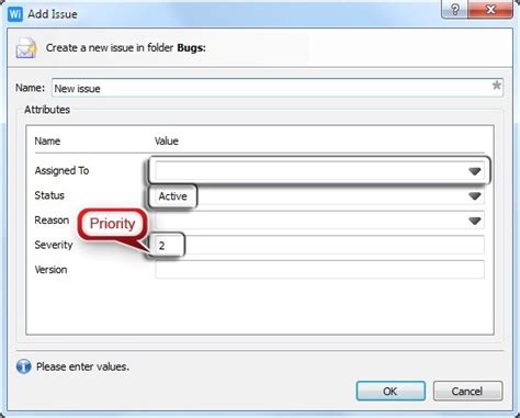 An Experience Of Using WebIssues Team Management Software