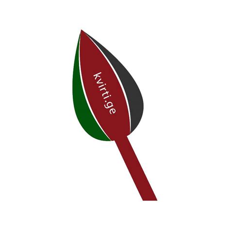 Kvirti Ge მცენარეები ქოთნები მოვლის საშუალებები კვირტი ჯი