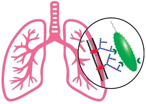Recent Advances In Development Of Biosensors For Monitoring Of Airborne