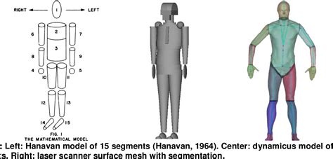 Figure 1 From A Comparison Of Two Body Segment Parameter Models Via