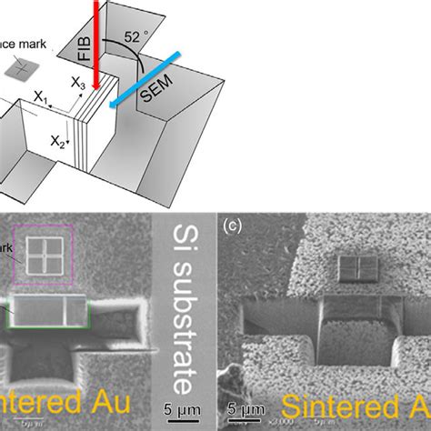 A Schematic Image Of FIB SEM System B FIB Image And C SEM Image Download Scientific