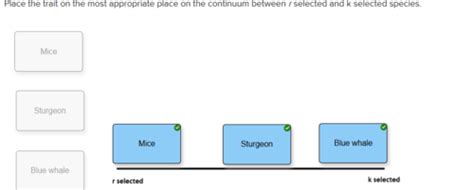 Biology Chapter 12 Assignment Exploring Reproductive Strategies And Life History Traits